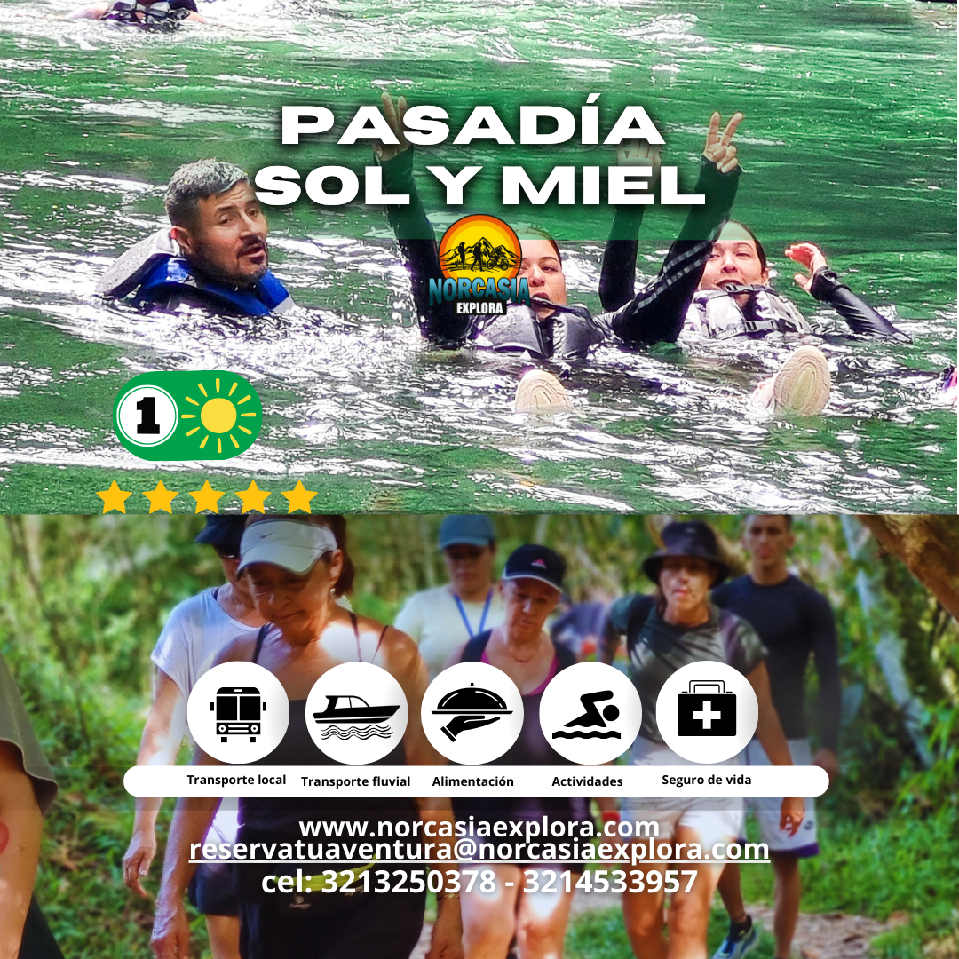 Caminatas Por Senderos Ecológicos En Norcasia Caldas 2024